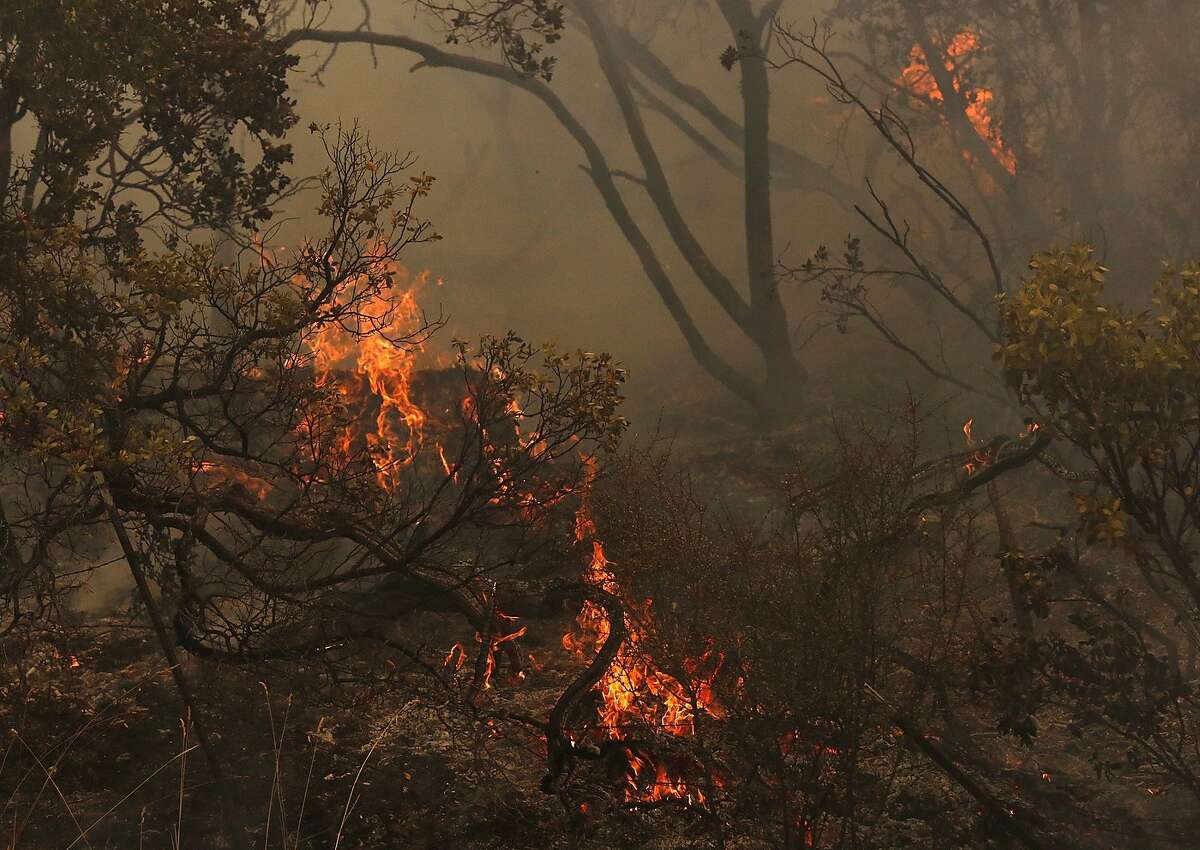 Clear Lake wildfire spreads to 71 square miles as other blazes rage