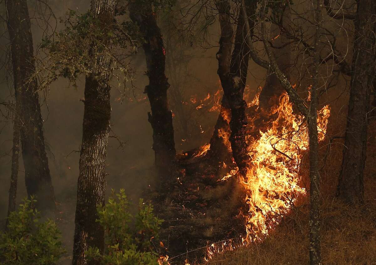 Clear Lake wildfire spreads to 71 square miles as other blazes rage
