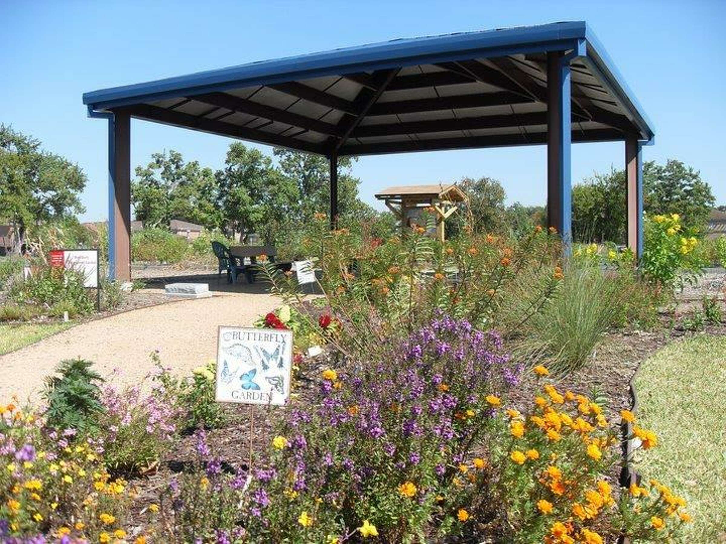 What grows in a community garden? Community.