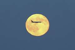 Blue Moon around the world