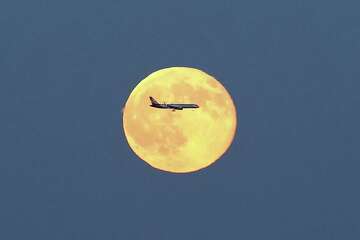 Blue Moon around the world