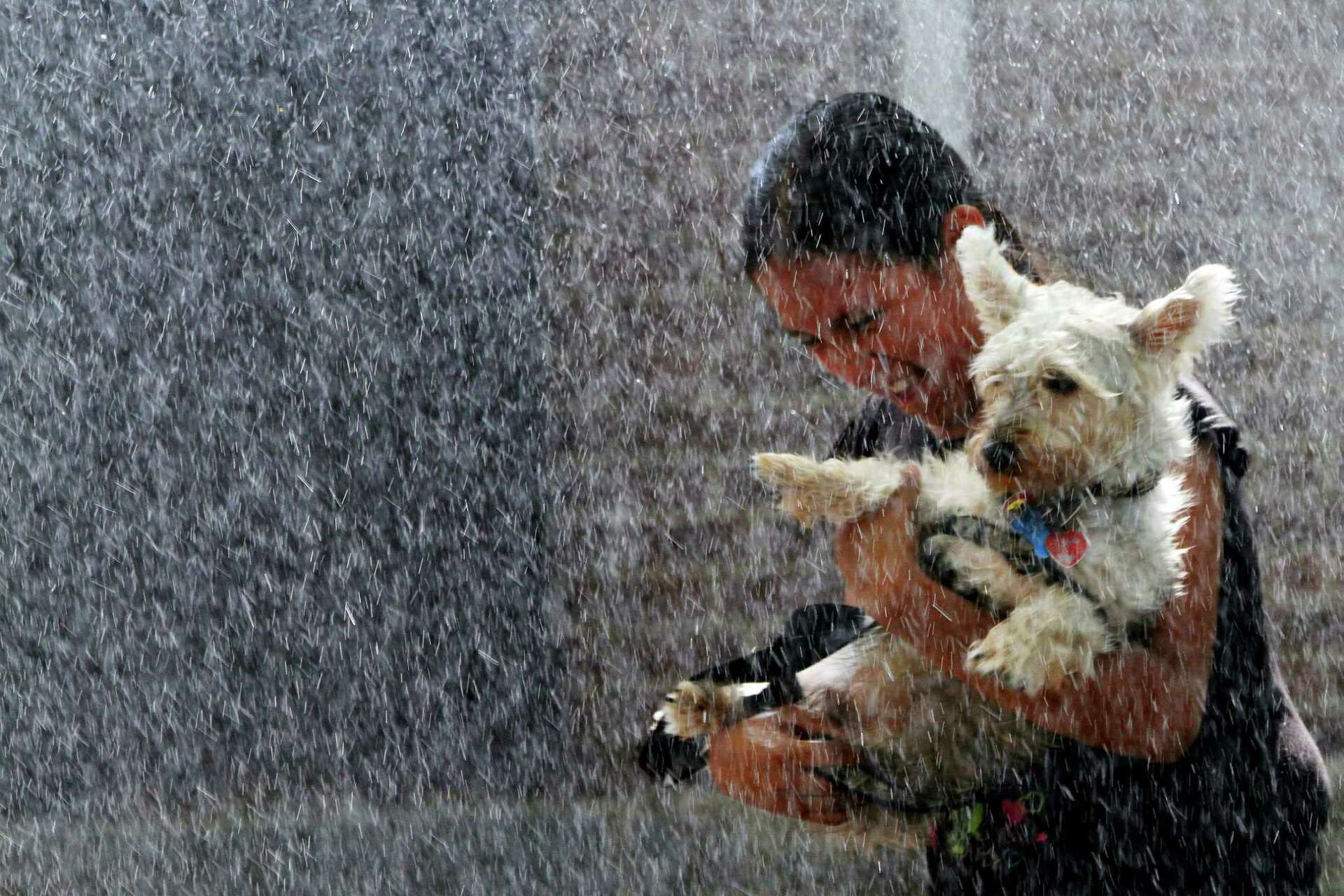 Tips To Keep Pets Safe During Dangerous Weather