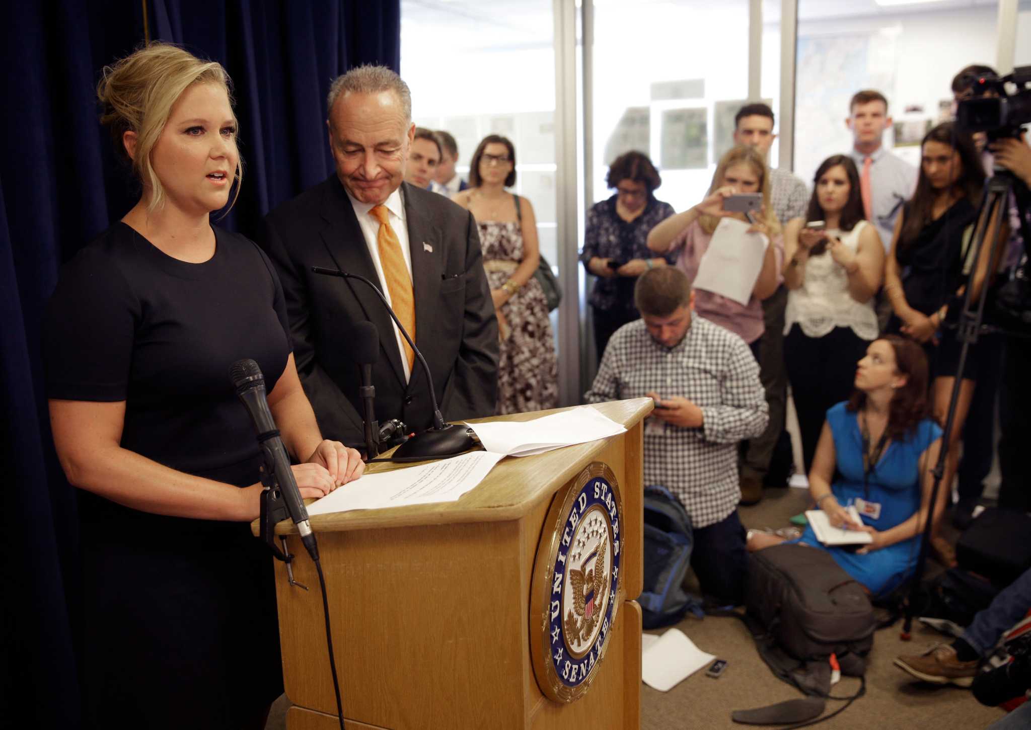 Schumers call to fix system of checks