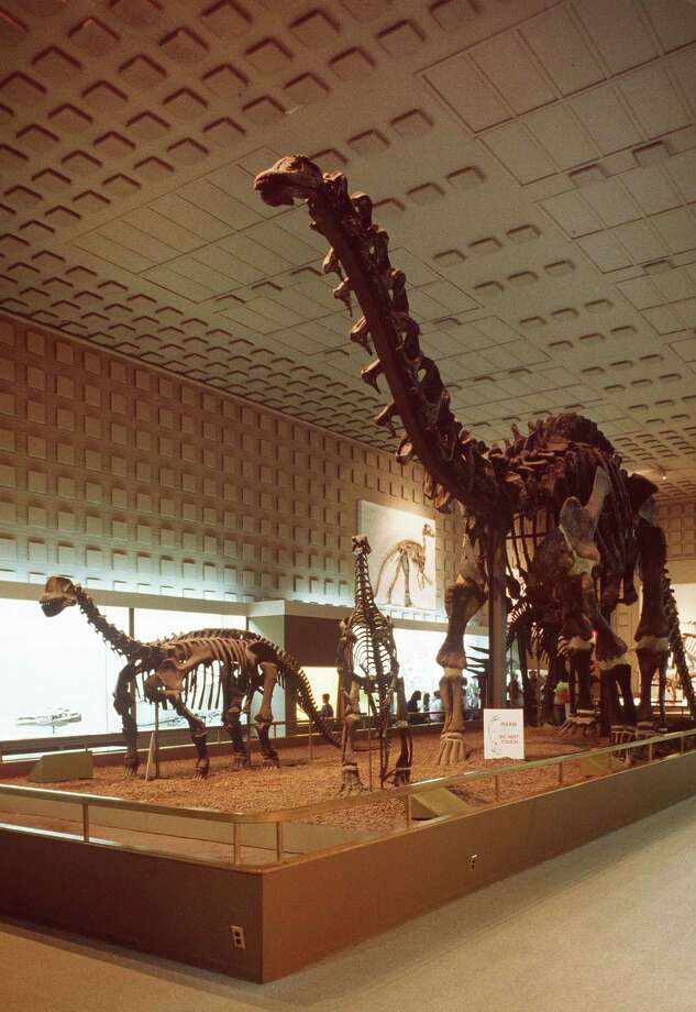 Make tracks to traverse CT Dino Trail - Connecticut Post