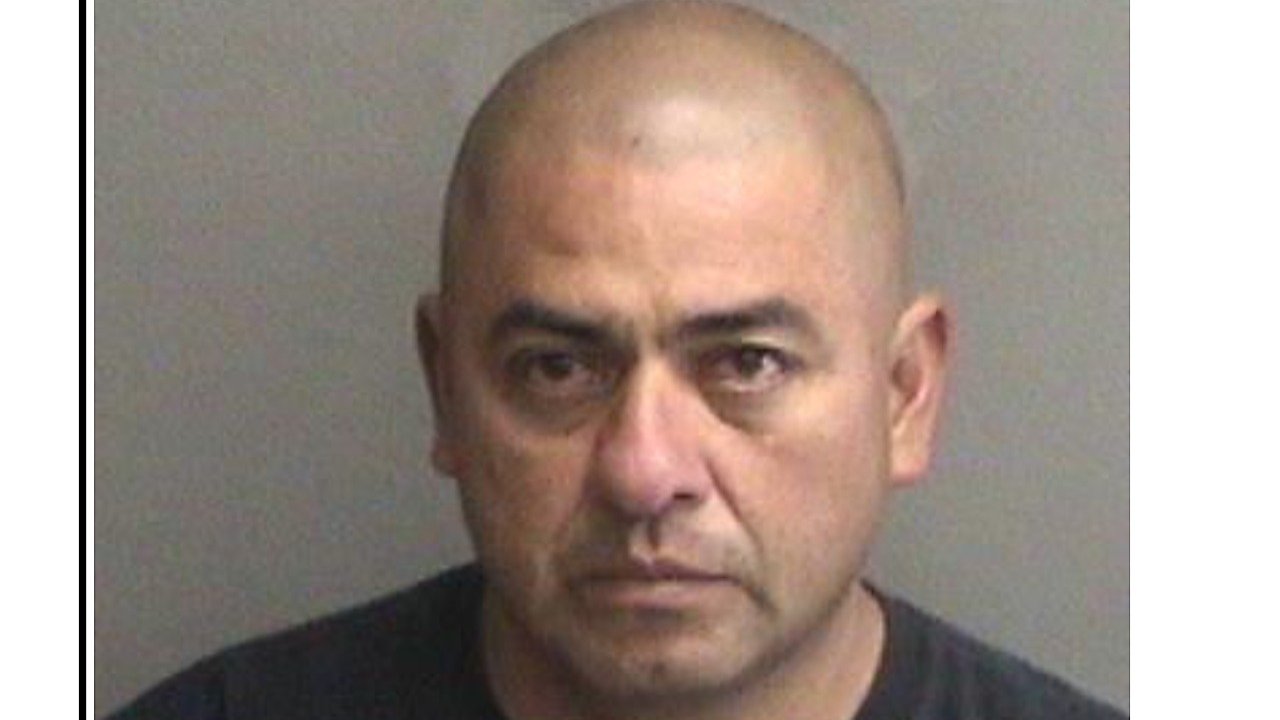 Driver held in fatal Hayward hit-and-run crash Driver held in fatal Hayward hit-and-run crash