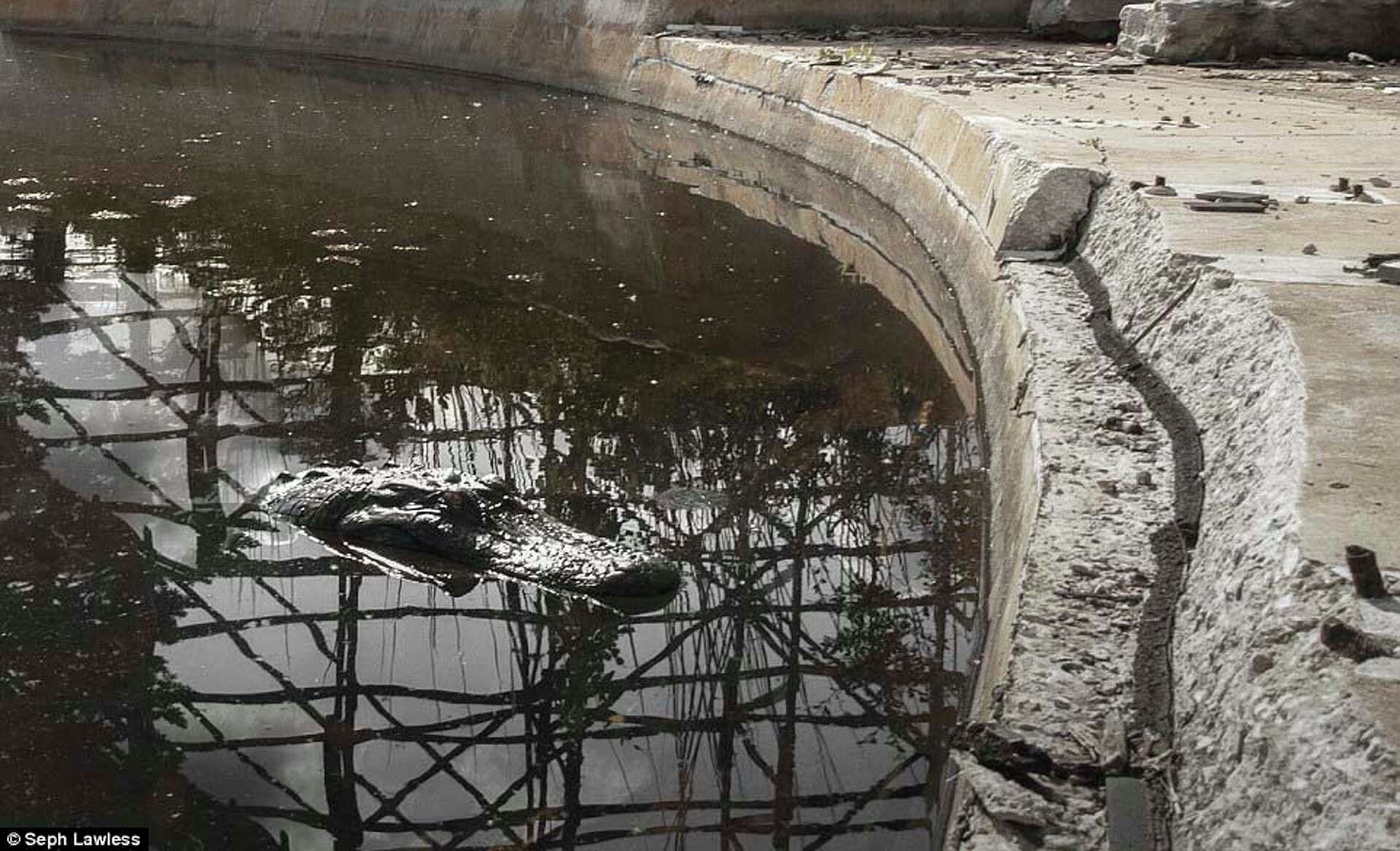 Looking back at the now-desolate Six Flags New Orleans 13 years after ...