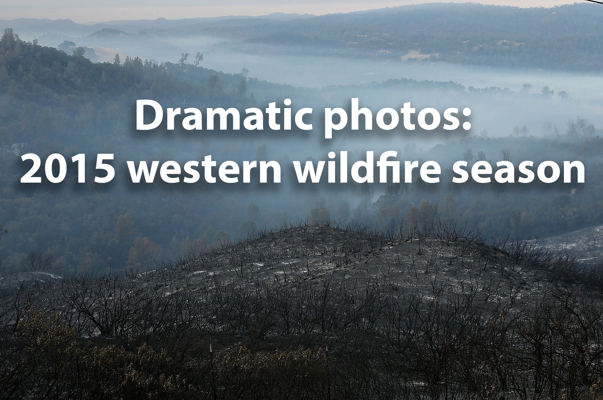 The most amazing photos from the western wildfires