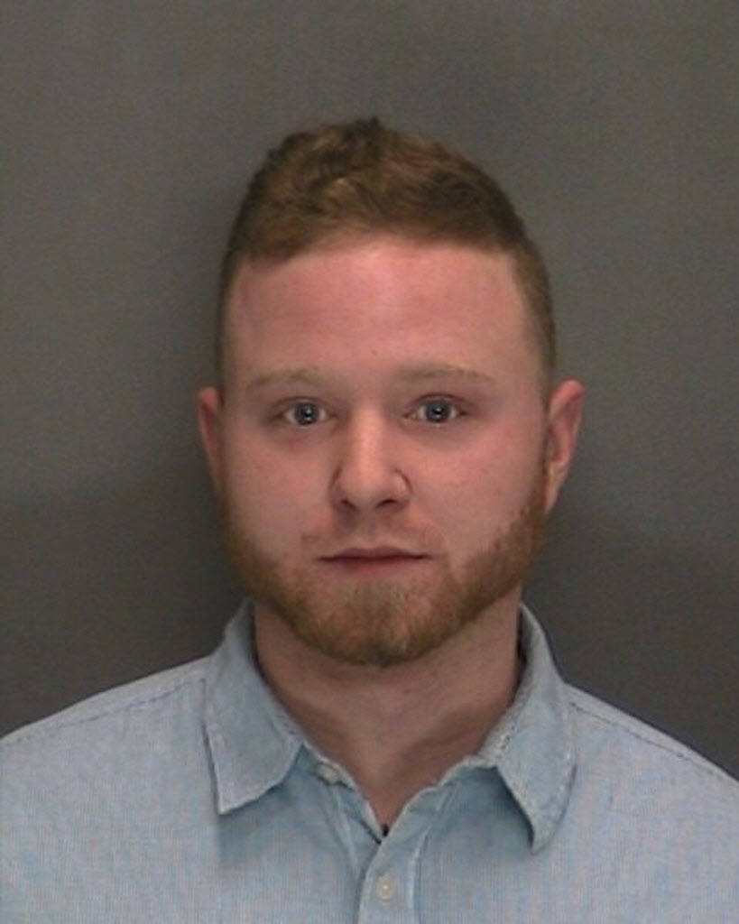 Troy man admits attacking gallery owner