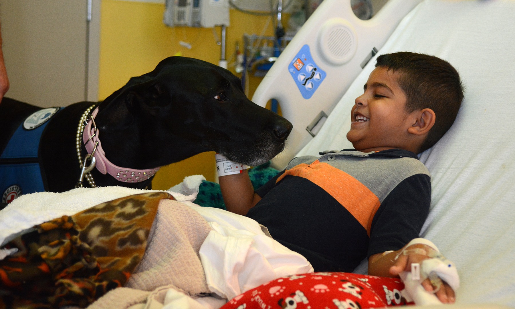 Pet program brings healing smiles to hospital patients