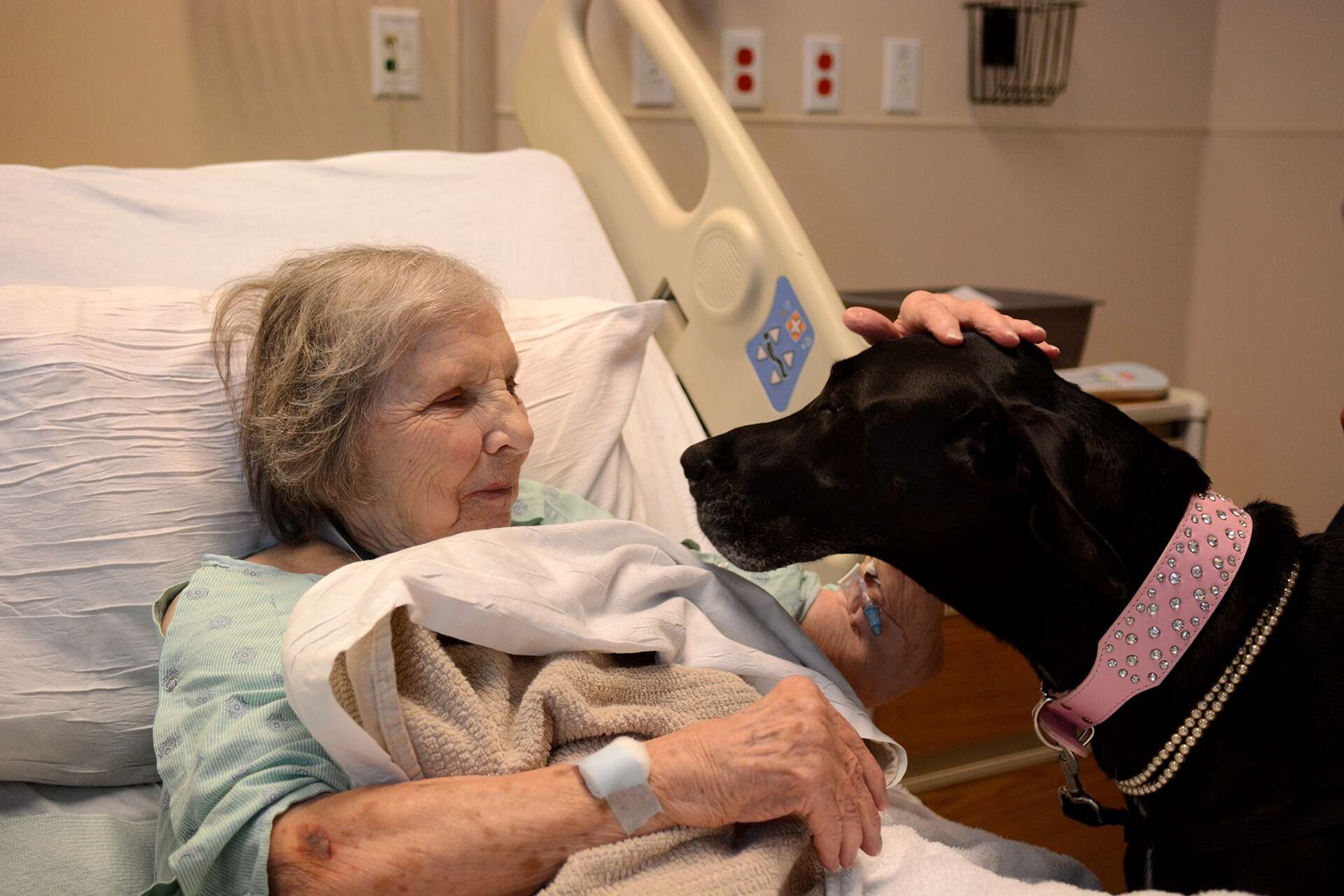 Pet program brings healing smiles to hospital patients