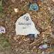 Eloise Woods, Austin-area 'green' cemetery, allows loved ones to bury ...
