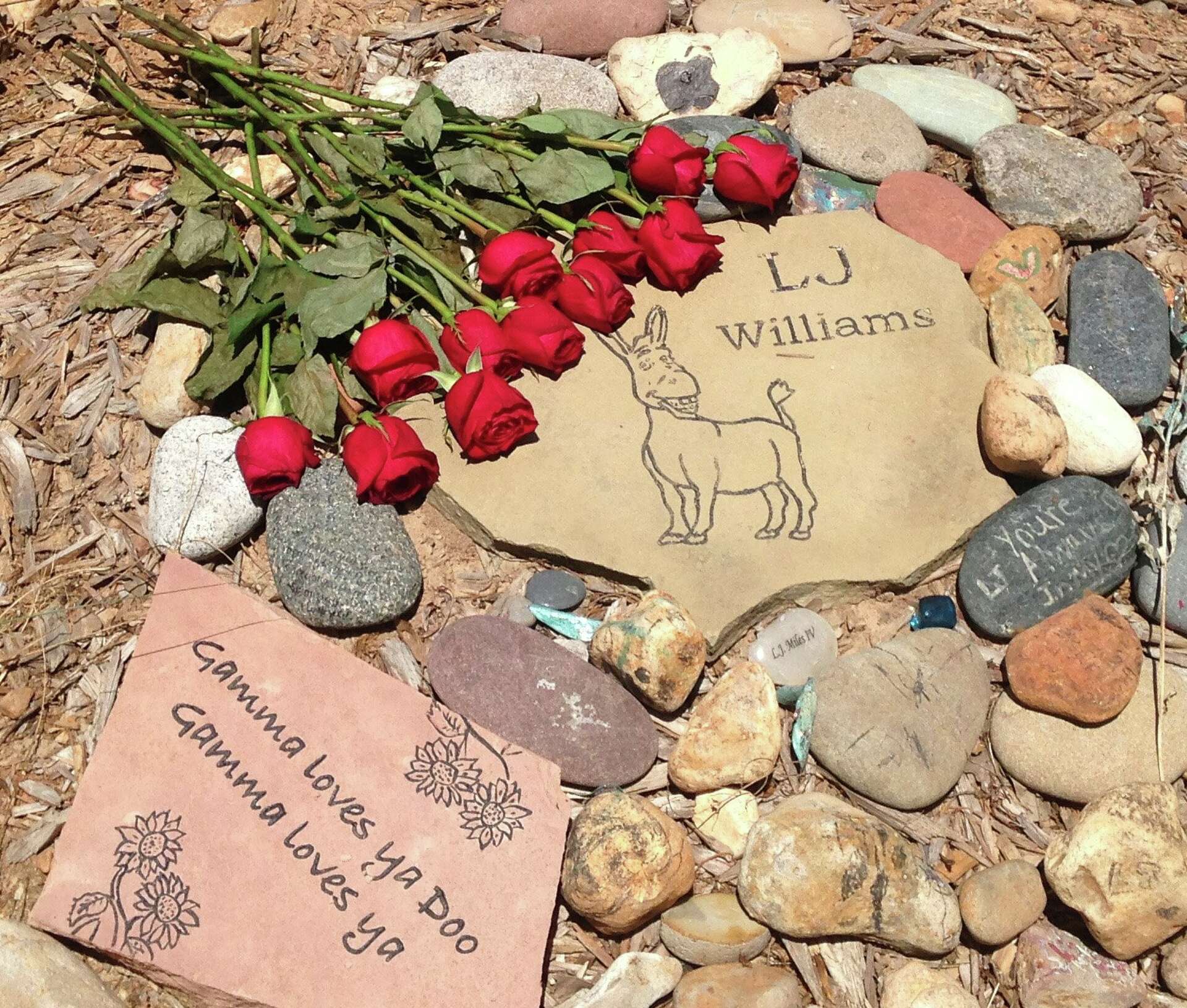 Eloise Woods, Austin-area 'green' cemetery, allows loved ones to bury ...