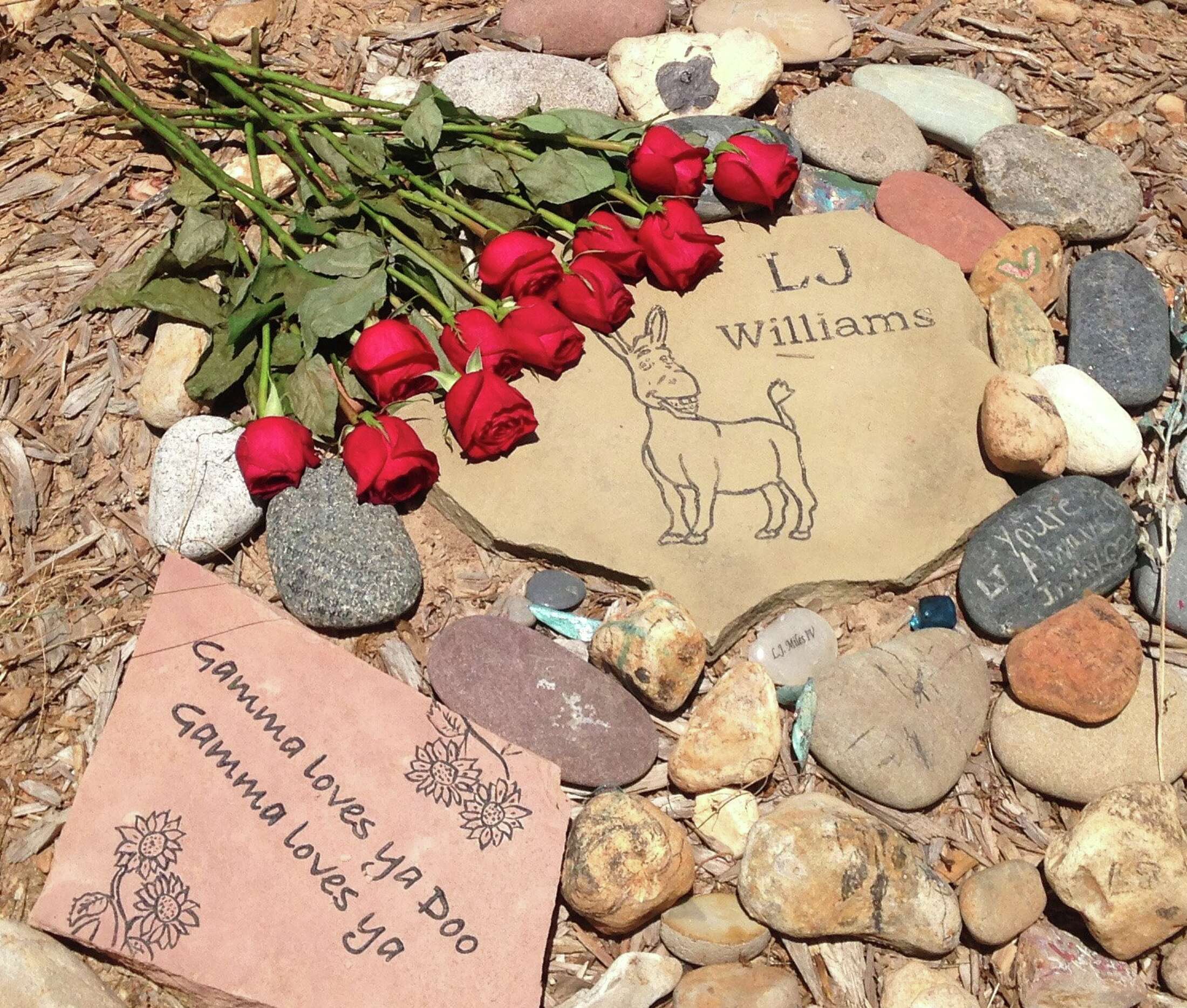 Eloise Woods, Austin-area 'green' cemetery, allows loved ones to bury ...