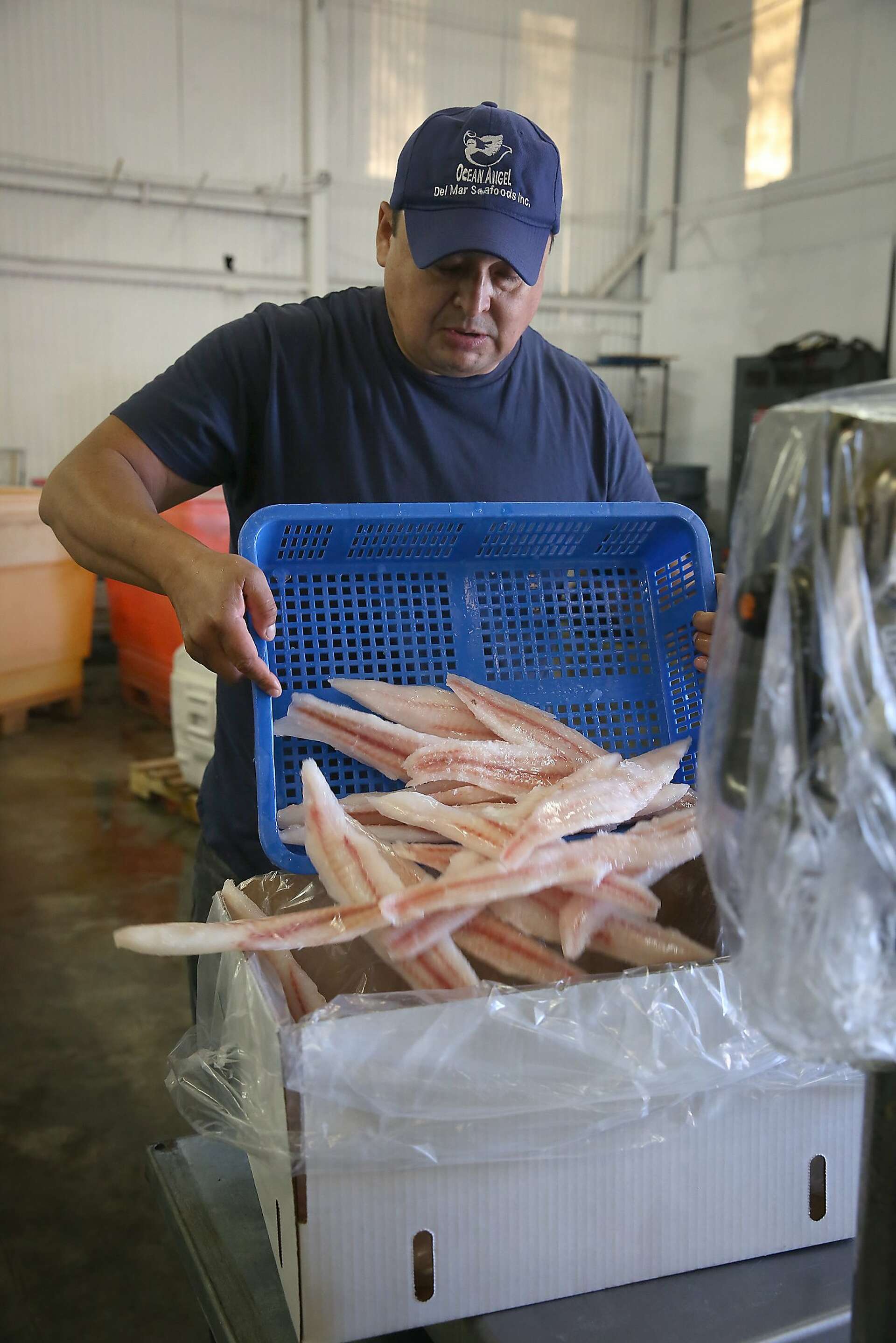 ‘Ugly’ fish a prized catch for Bay Area school cafeterias