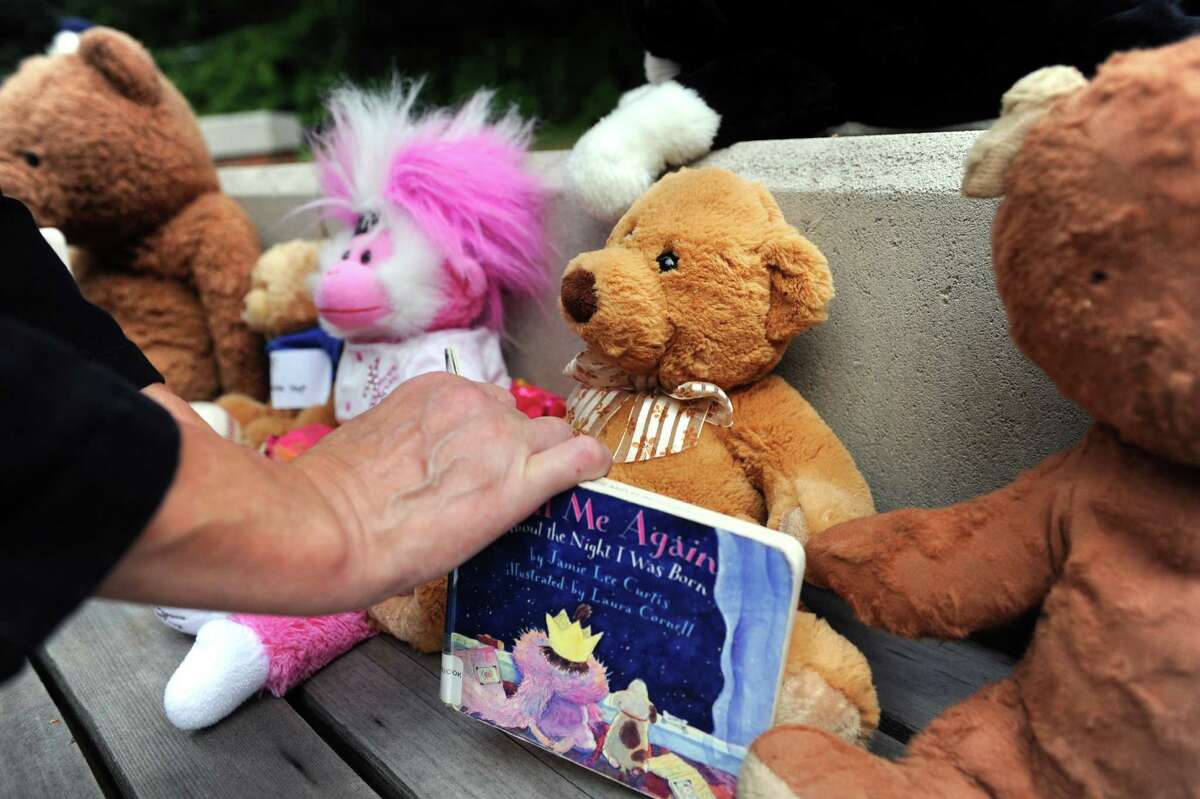 Photos: Teddy bears' sleepover at Guilderland Public Library