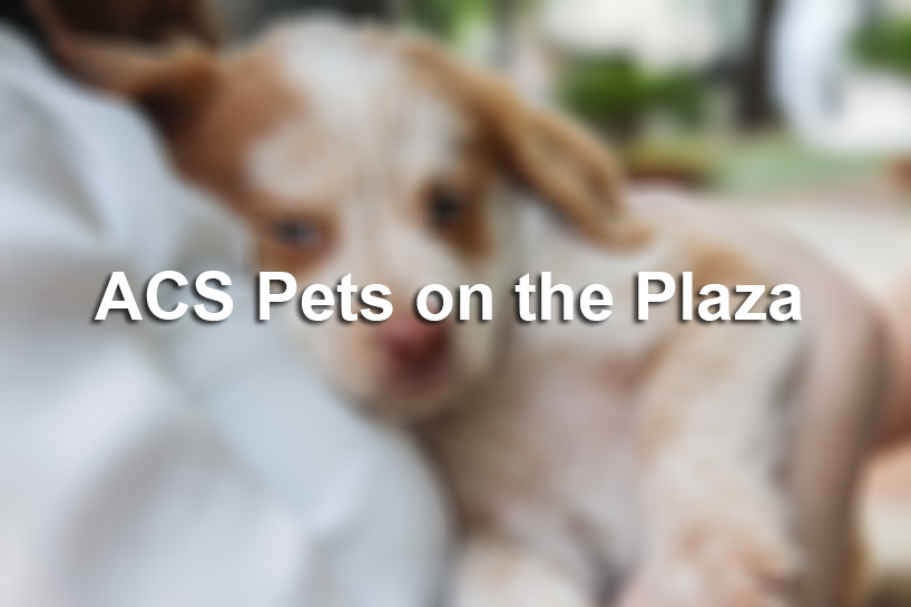 Historic Main Plaza in downtown San Antonio hosts inaugural ACS event ...