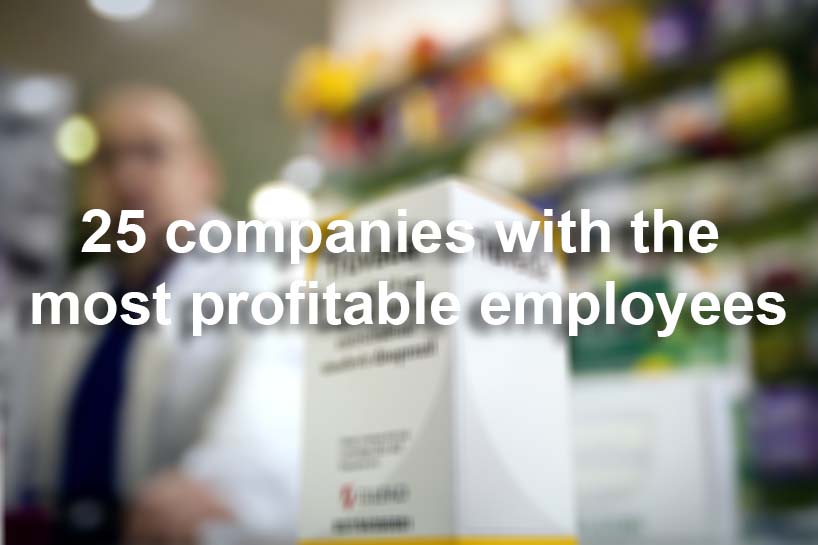 25 companies with the most profitable employees