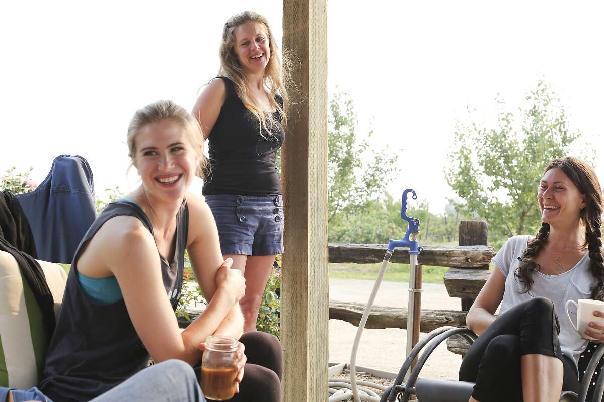 Meat Camp: Grilling, butchering and female bonding