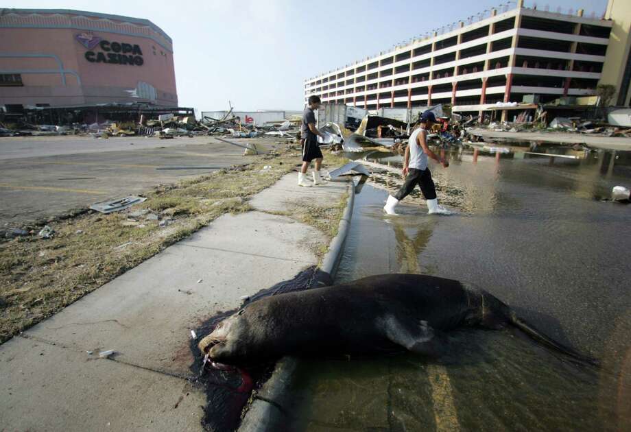Hurricane Katrina: Aug. 31, 2005 in photos - Houston Chronicle