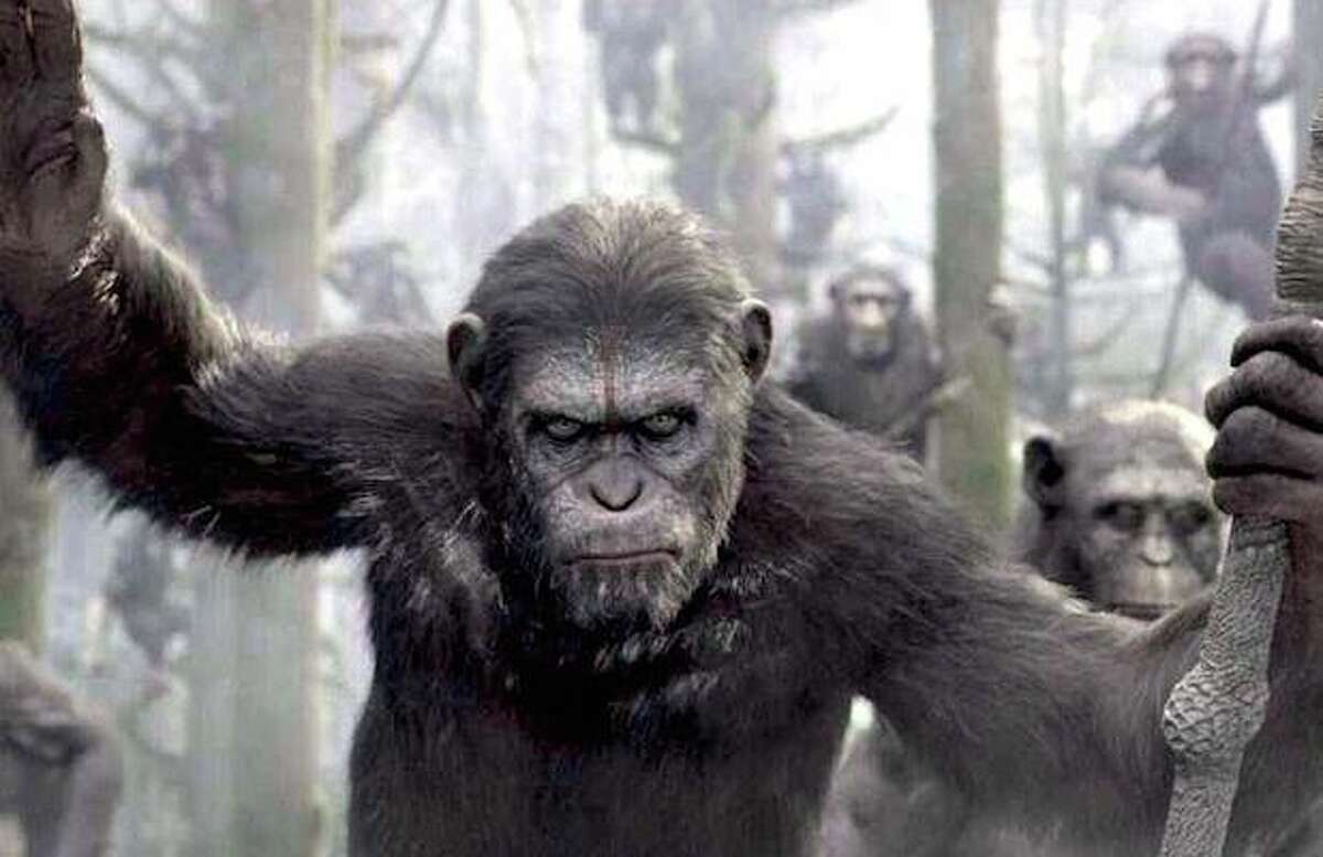 Famous primates to celebrate during the Year of the Monkey