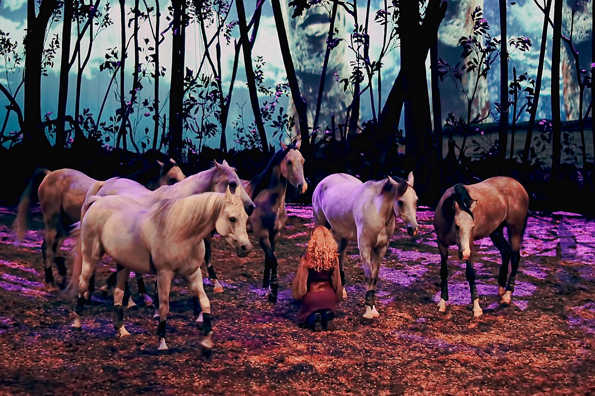 Cavalia returns with more horses, bigger show