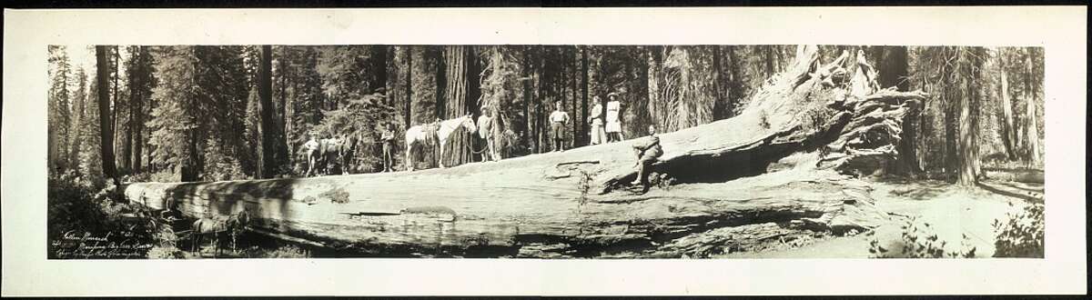 28 historic photos of Yosemite to celebrate its 125th anniversary