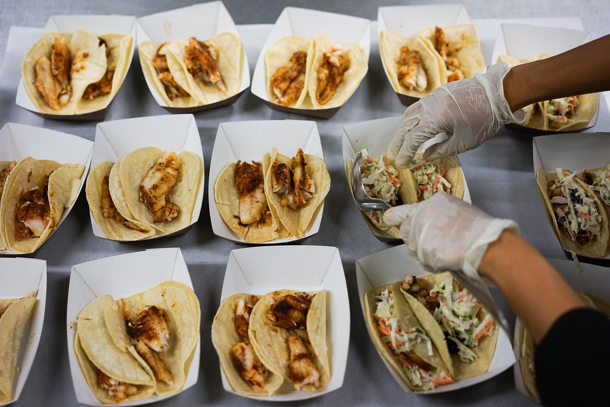 ‘Ugly’ fish a prized catch for Bay Area school cafeterias