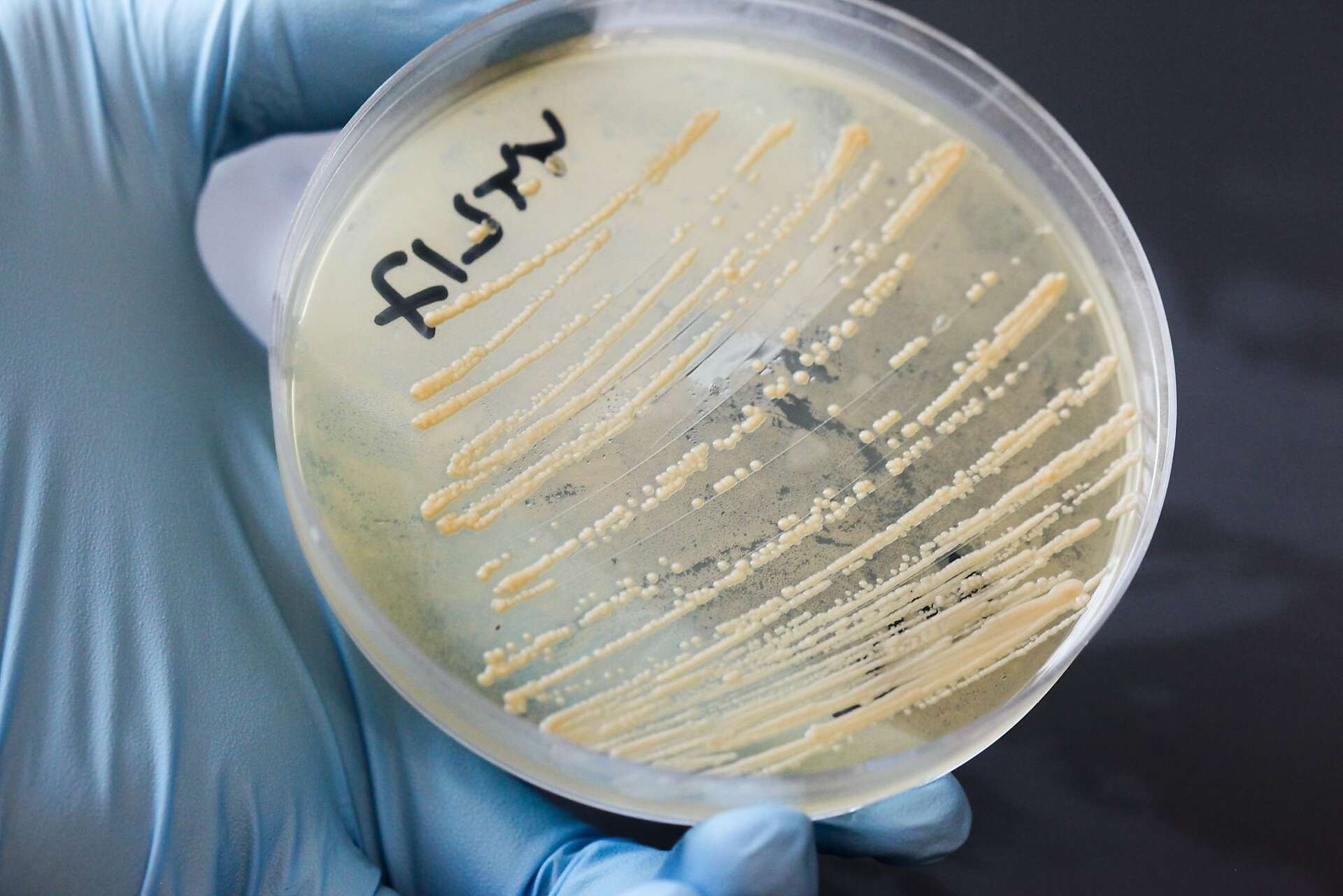 Stanford scientists raise hope, concern with synthetic narcotics