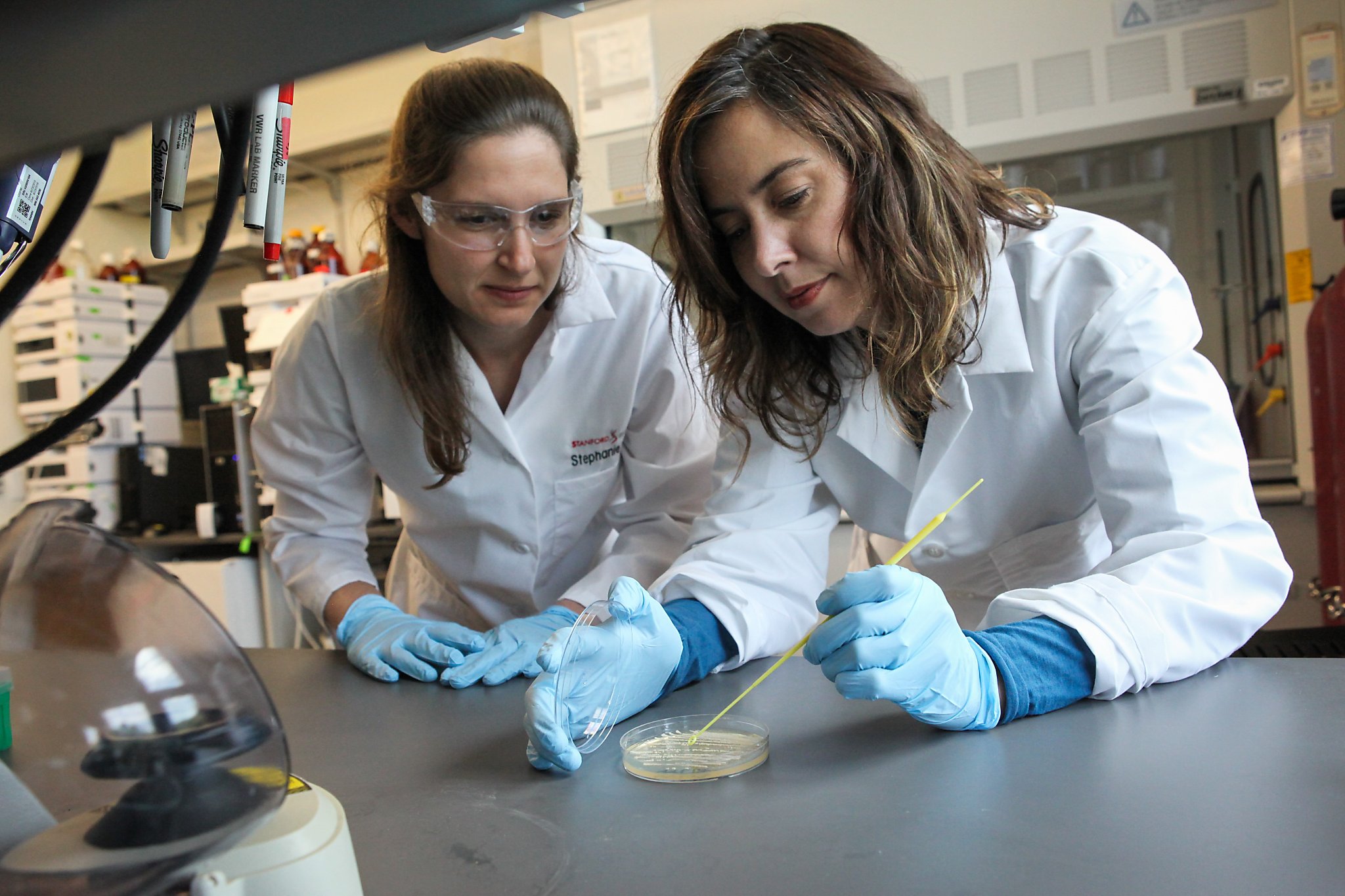 Stanford scientists raise hope, concern with synthetic narcotics