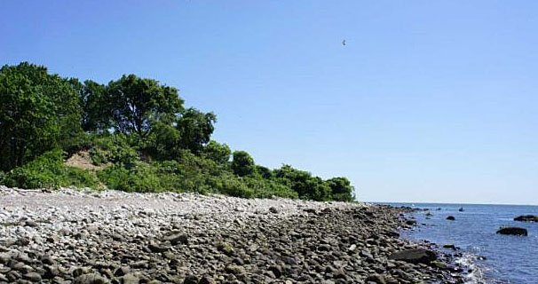 Westport Historical Society plans annual kayak tour to Cockenoe Island