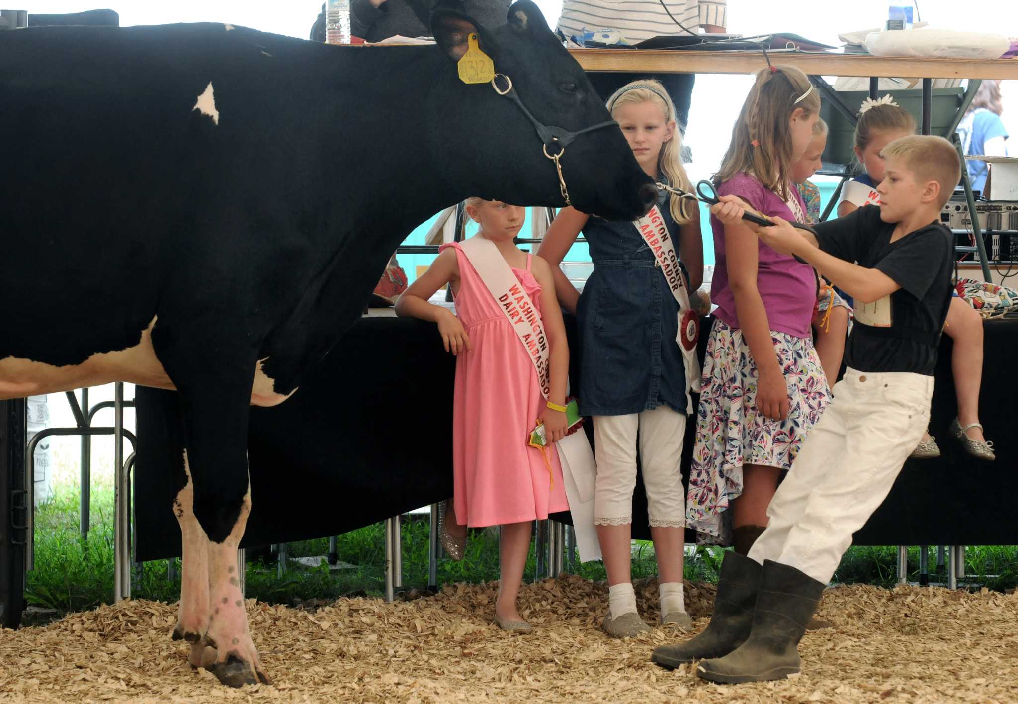 Washington County Fair all week long