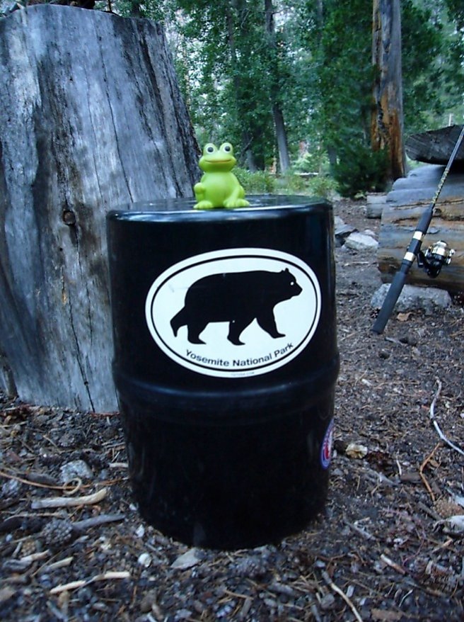 ‘Bear-proof’ boxes certainly not stopping bear bullies
