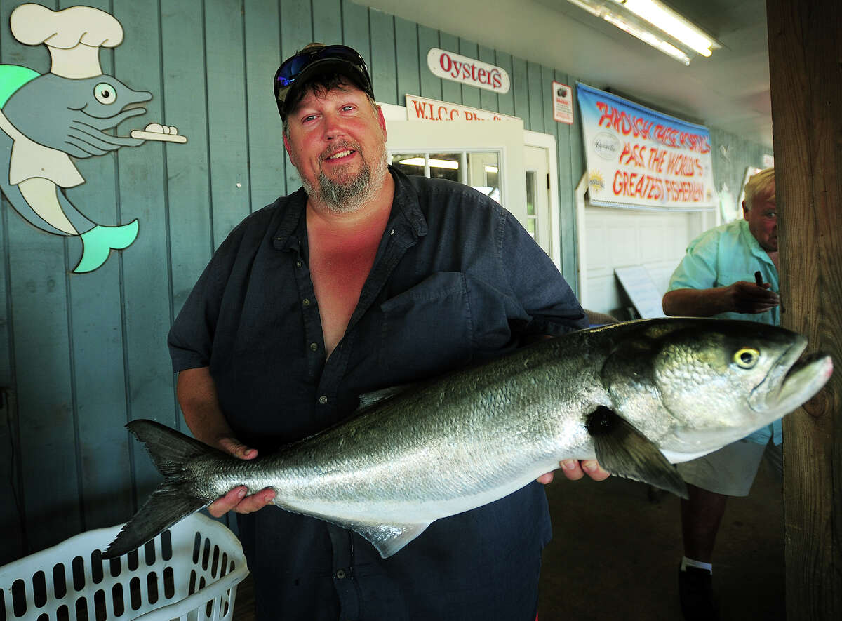 This weekend, catch the biggest bluefish, win $25,000