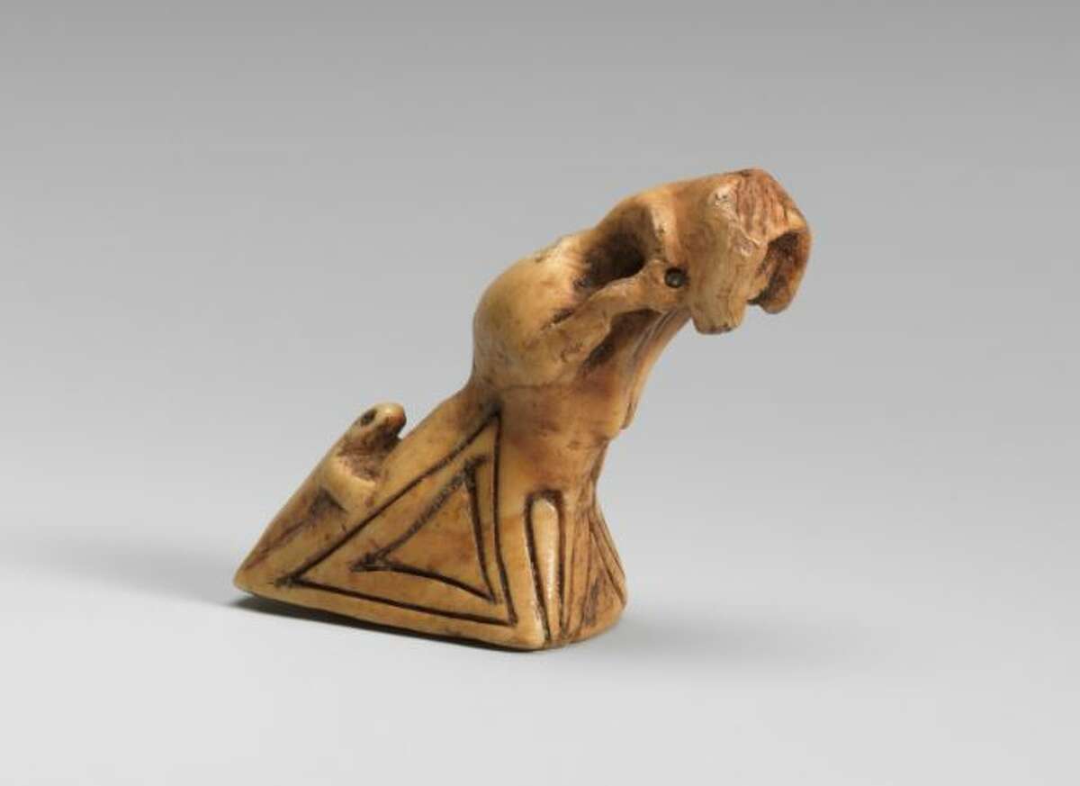 Life in two inches of walrus tooth