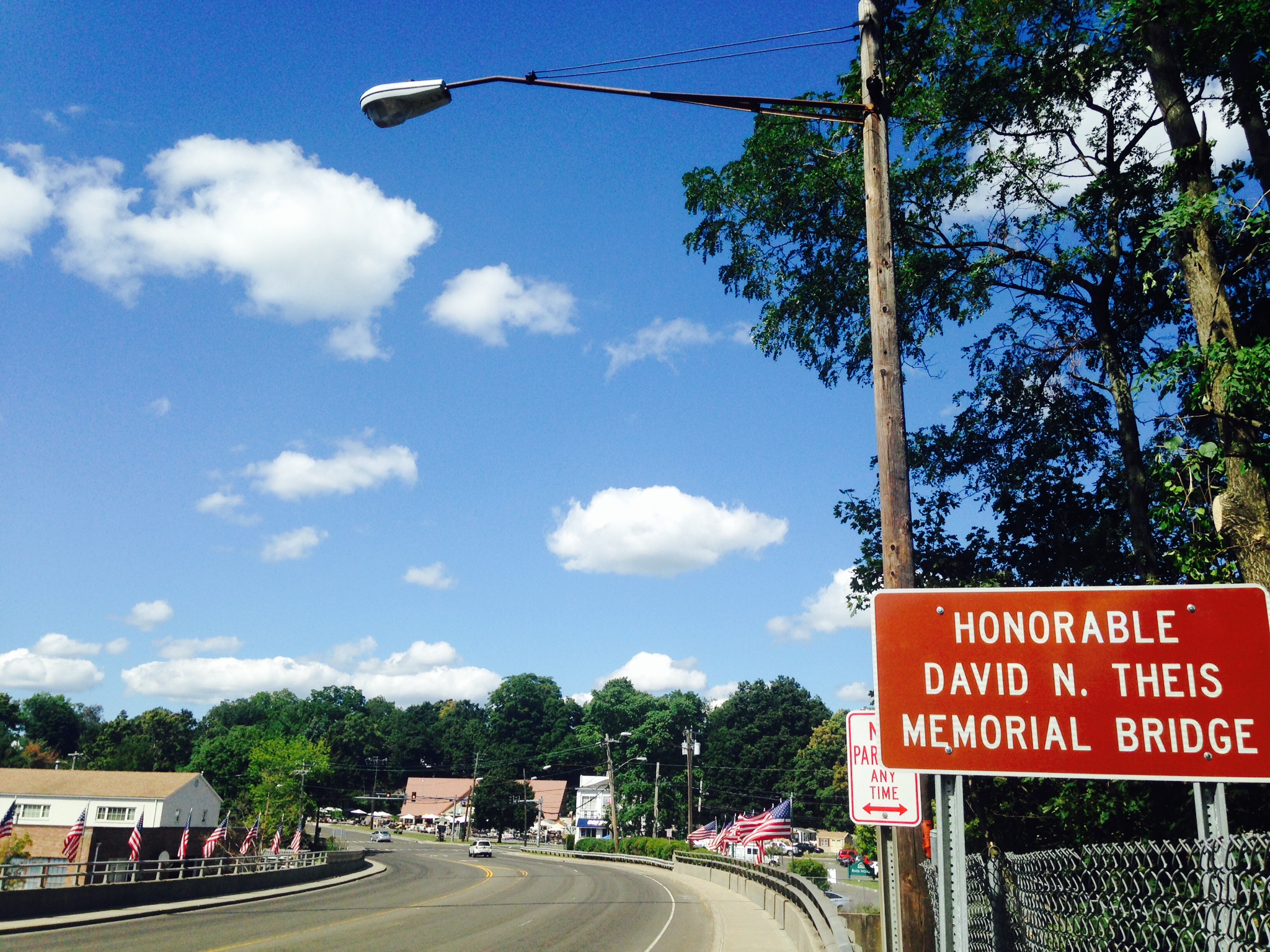 Bridge to be renamed Sunday in memory of Dave Theis