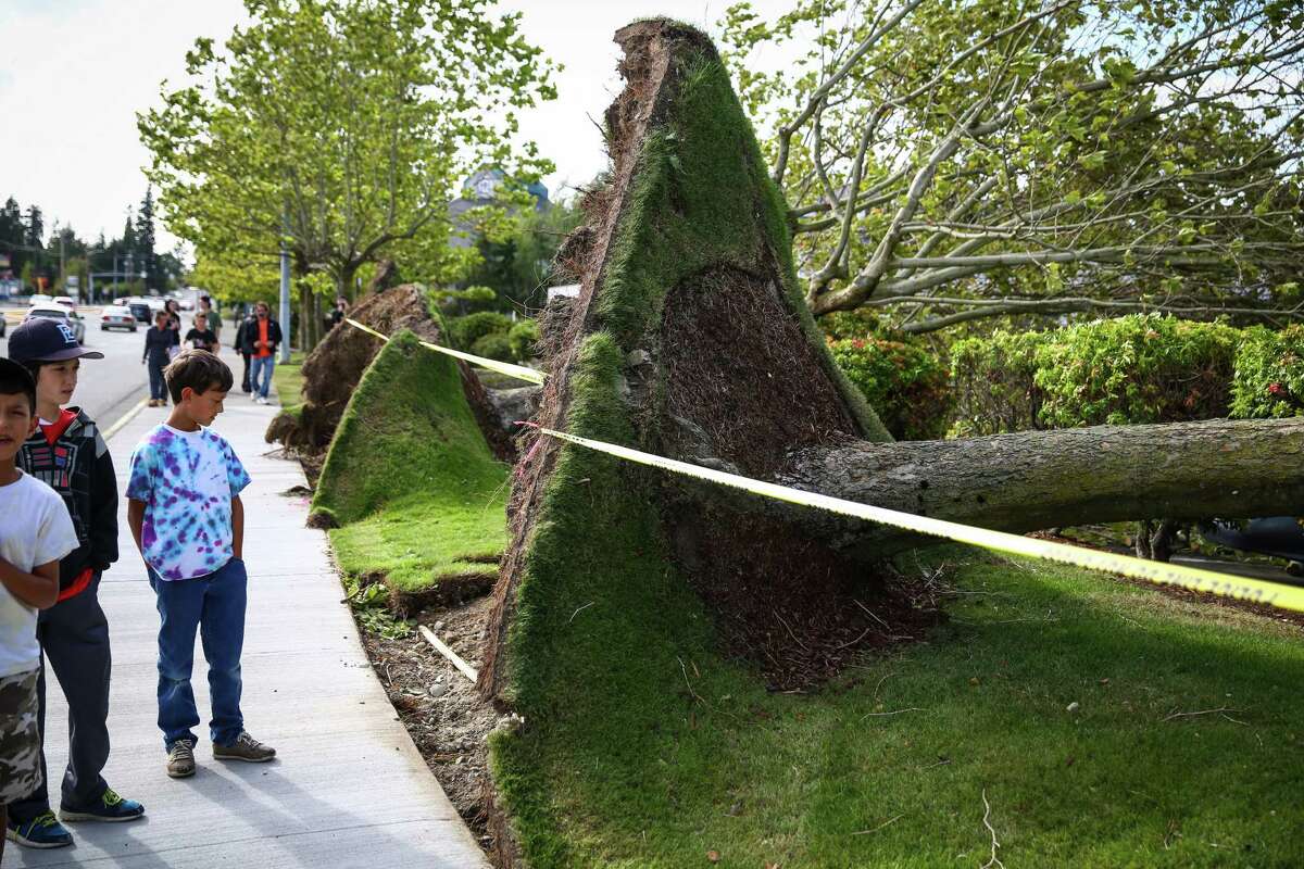 Rare August windstorm hits Seattle