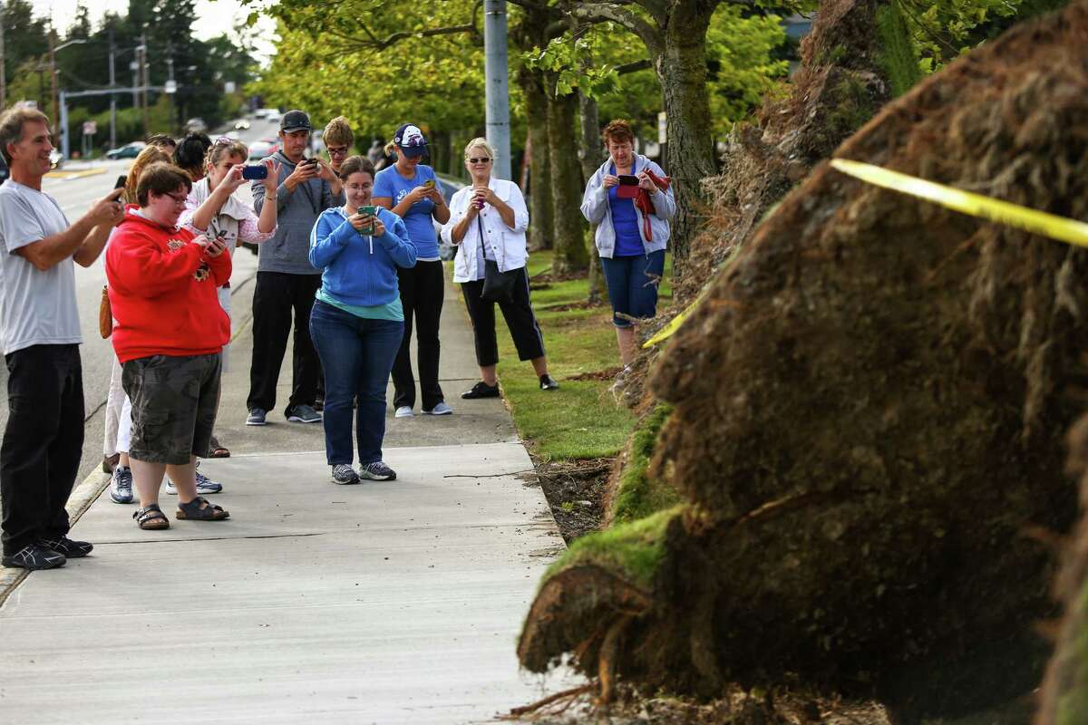 Rare August windstorm hits Seattle