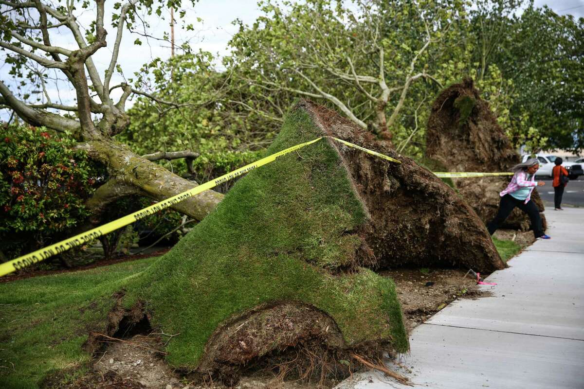 Cleanup underway after powerful, rare windstorm