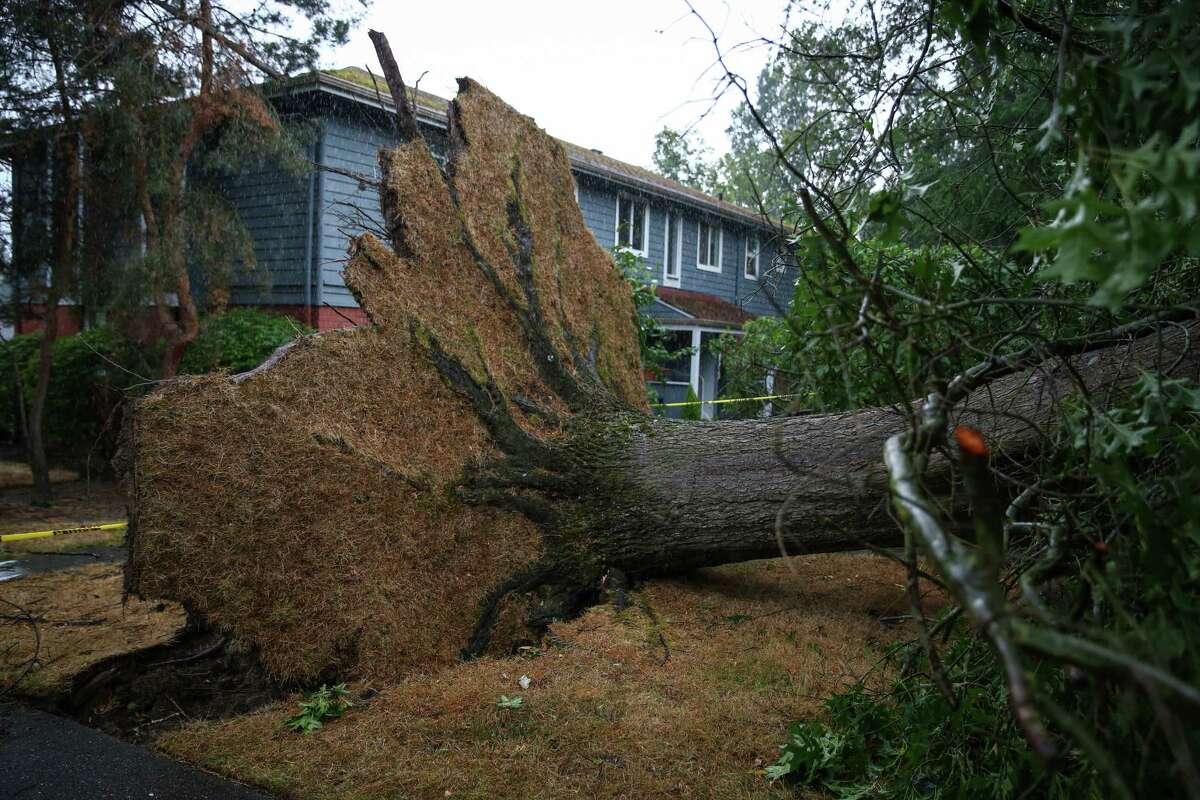 Cleanup underway after powerful, rare windstorm
