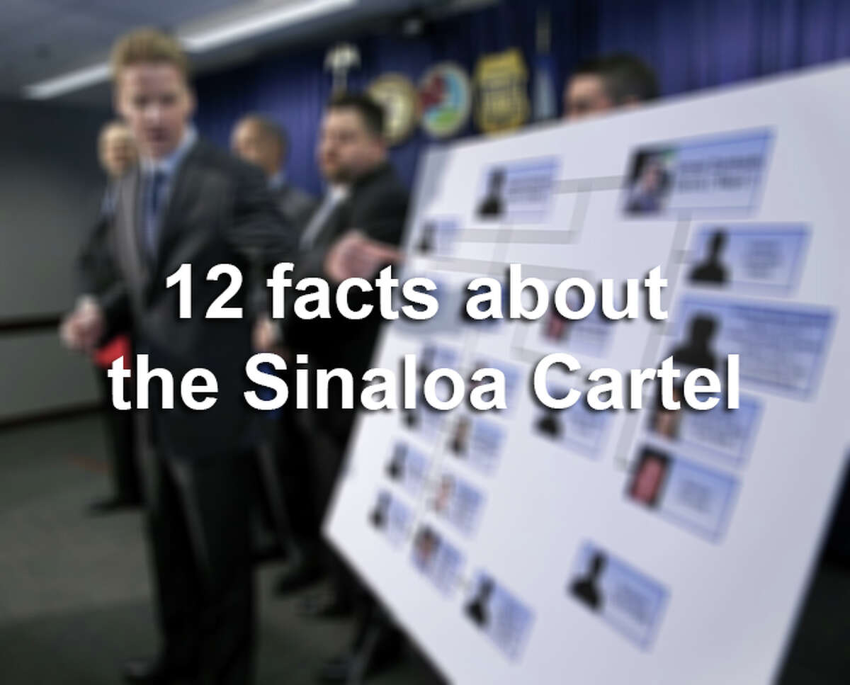 Report: Sinaloa Cartel, Miami businesses and cocaine profits linked in ...