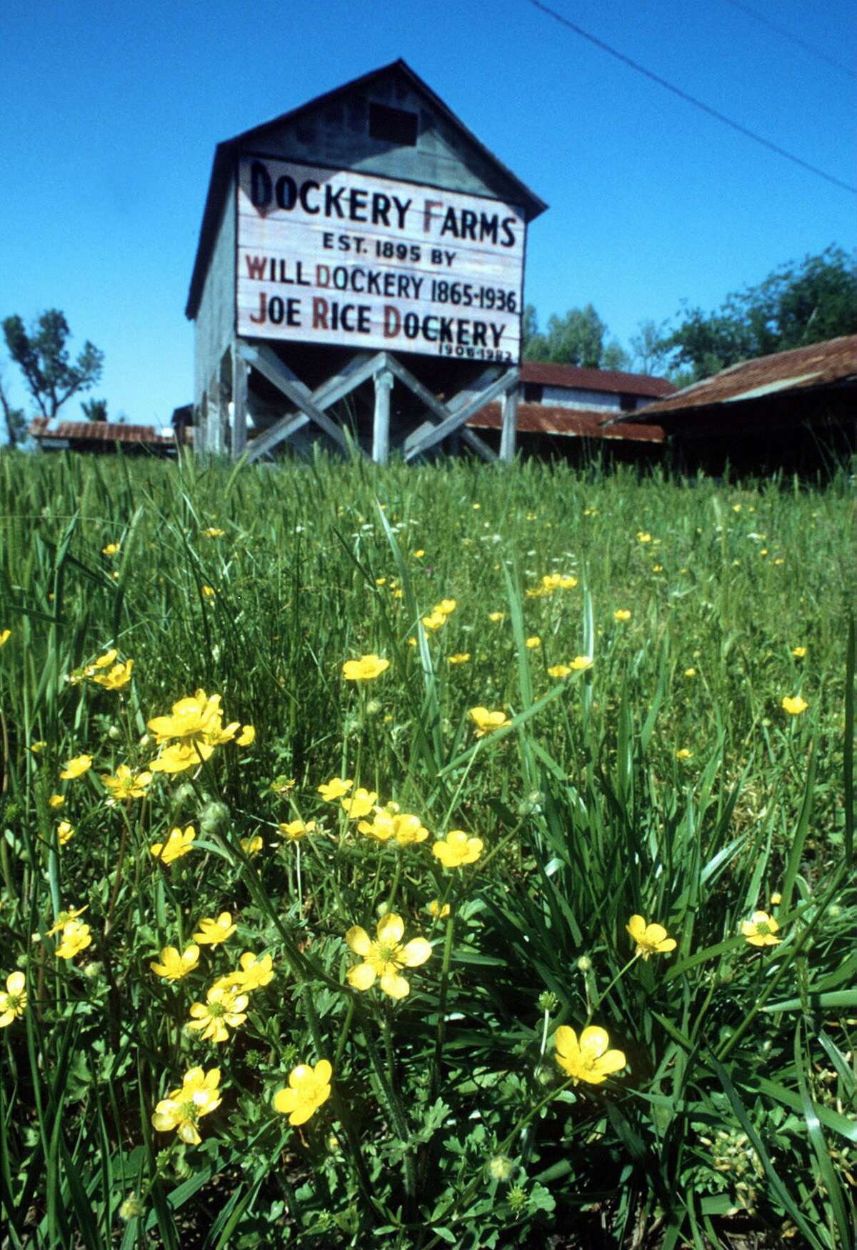 Tour uncovers the grandeur and ghosts of Southern music