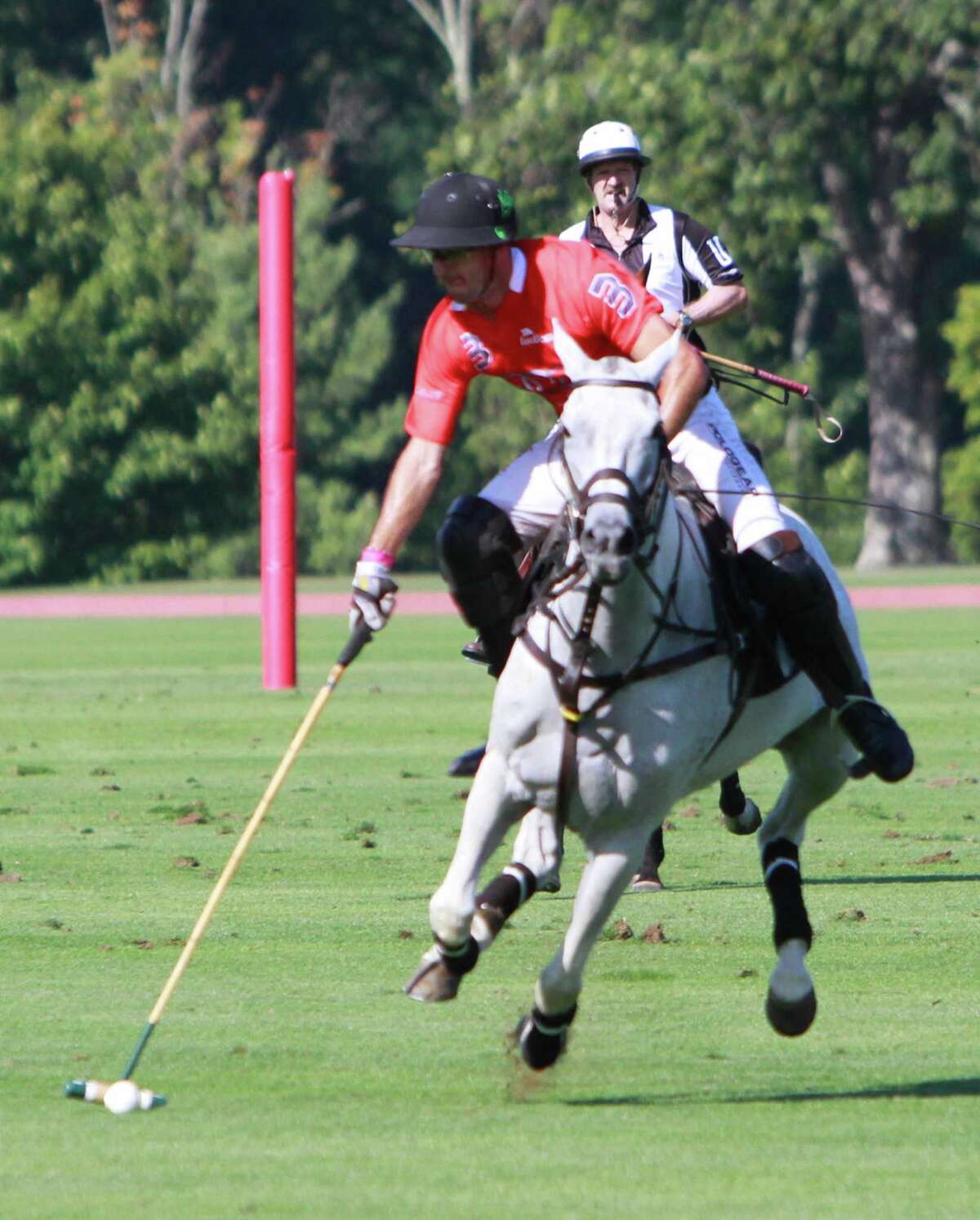 Historic polo cup raised for the first time in Greenwich