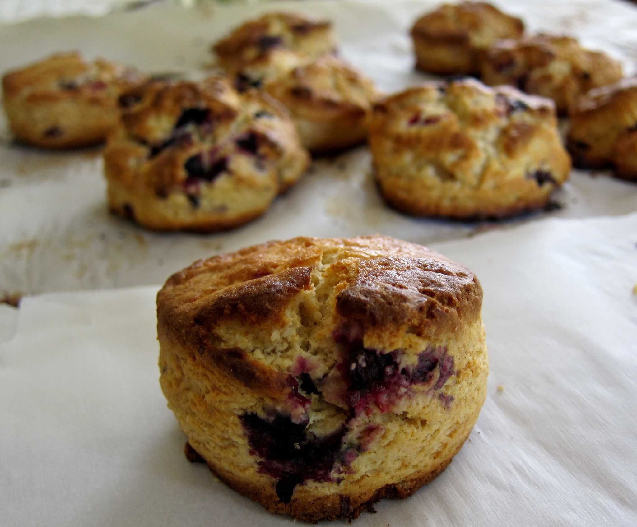 Huckleberries brighten muffins and more