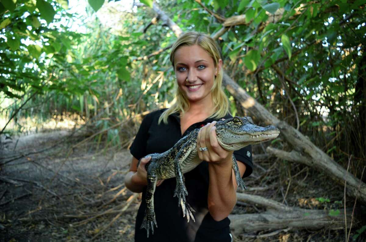 Man swimming in Orange bayou dies in apparent alligator attack