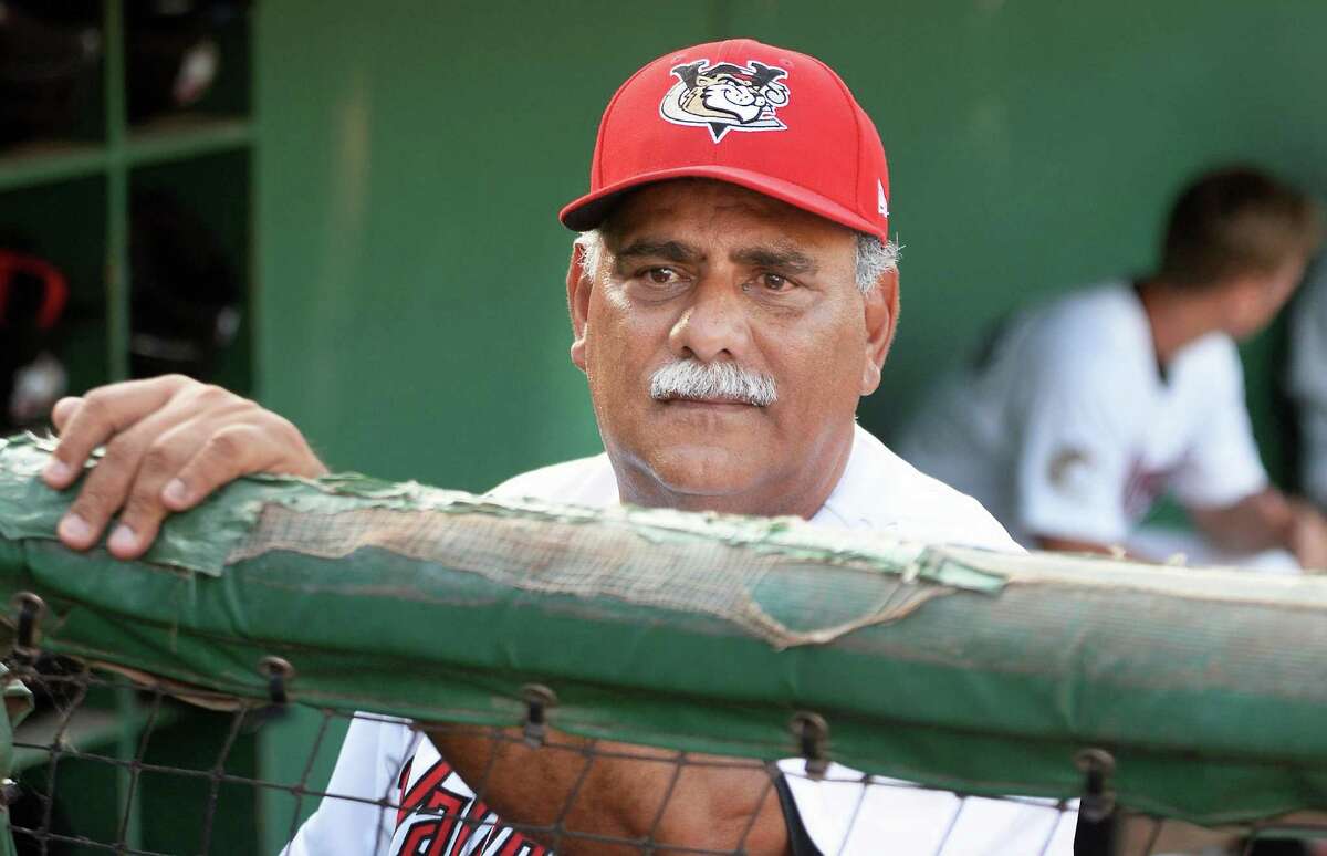 'Cats start series will loss in 11th