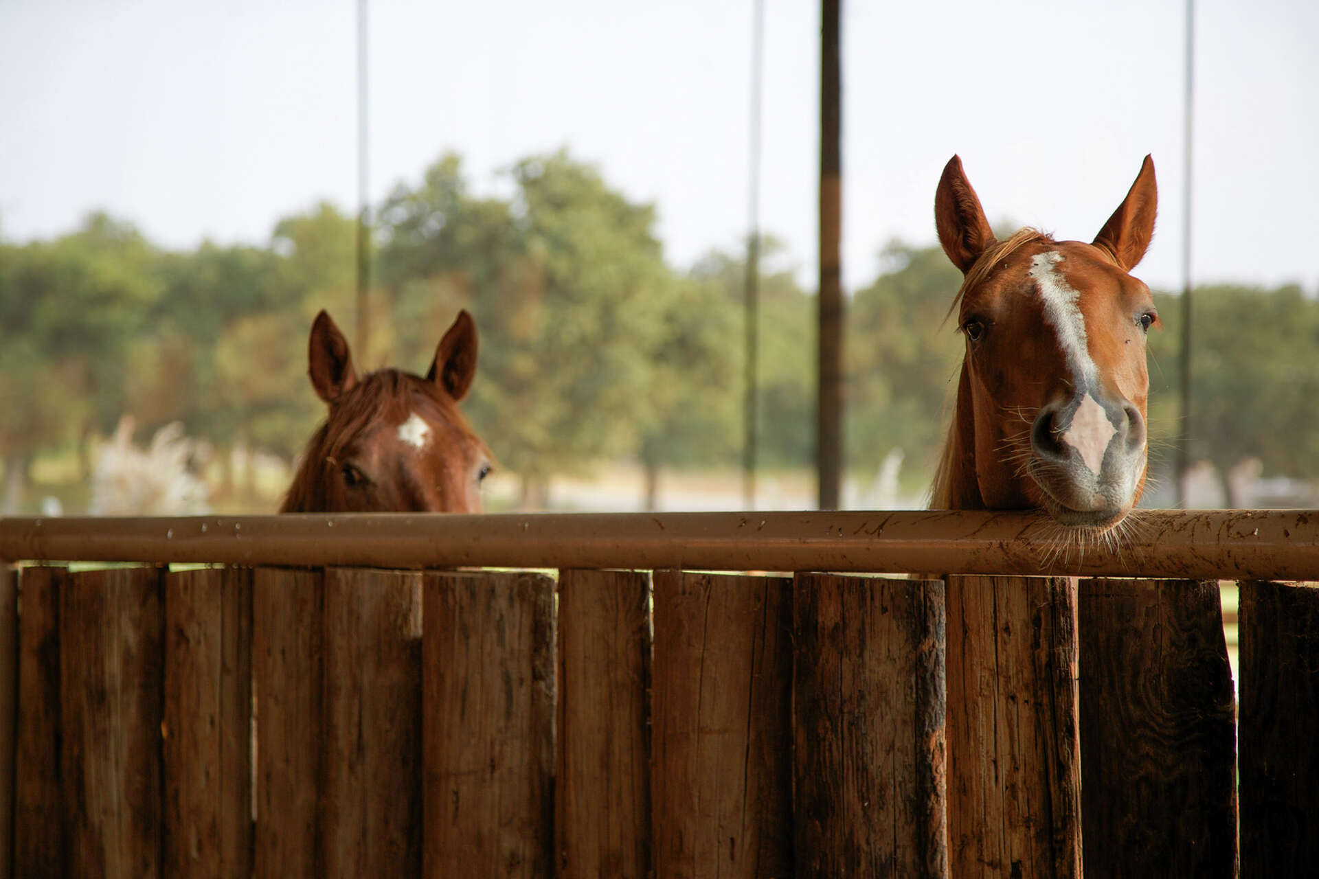 Wal-Mart family's 1,460-acre Rocking W. Ranch near Fort Worth sold to ...