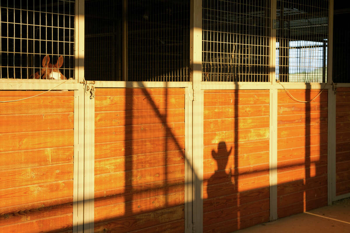 Wal-Mart family's 1,460-acre Rocking W. Ranch near Fort Worth sold to ...