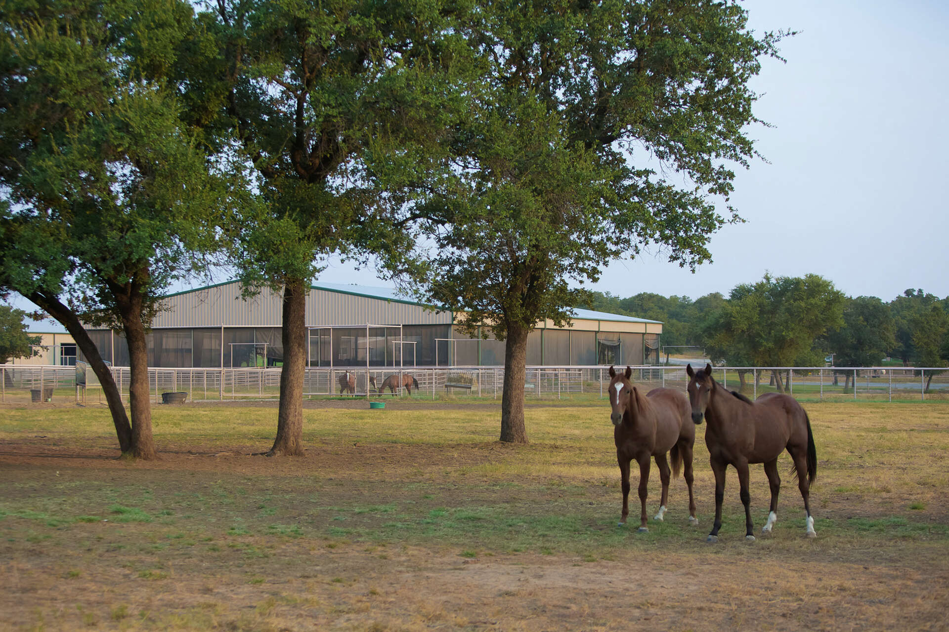 Wal-Mart family's 1,460-acre Rocking W. Ranch near Fort Worth sold to ...