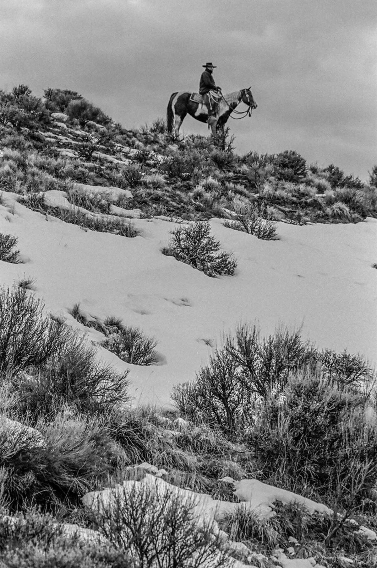 Briscoe Museum showcasing father-son photo exhibit on the American cowboy