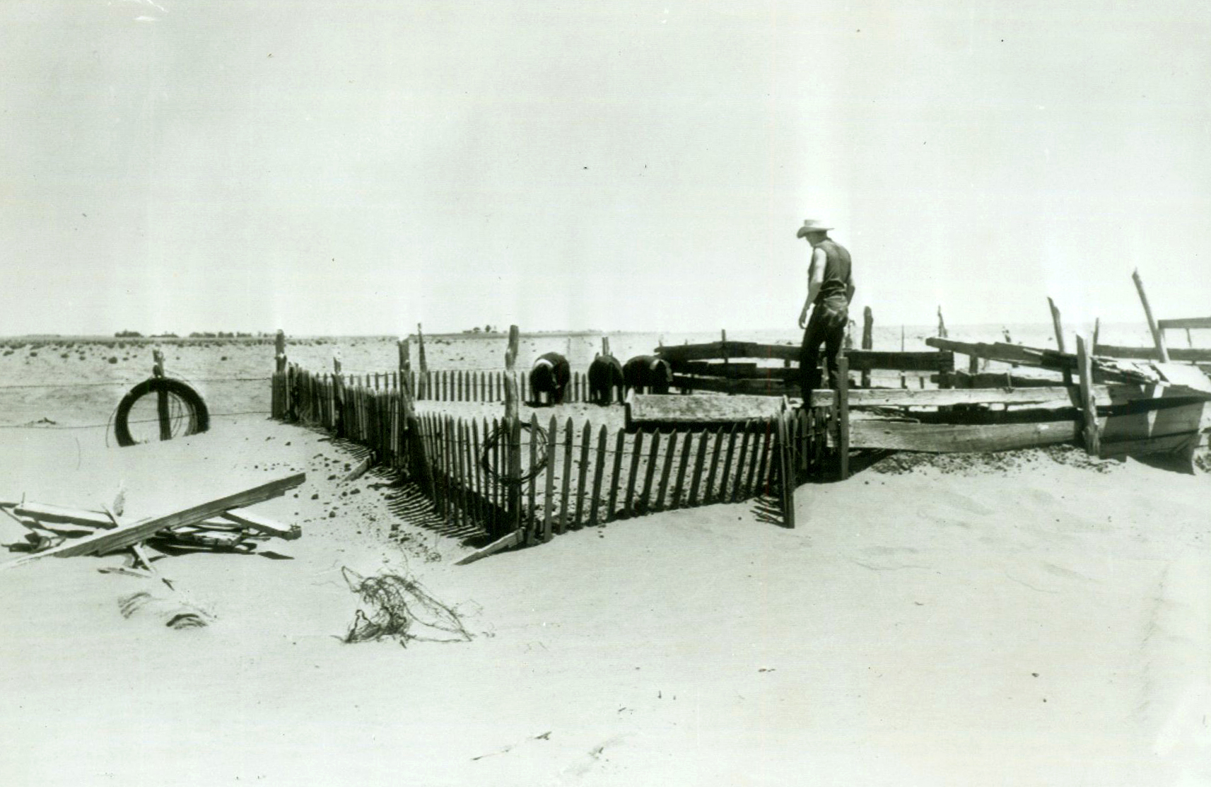 1950s drought plagued Texas for seven long years